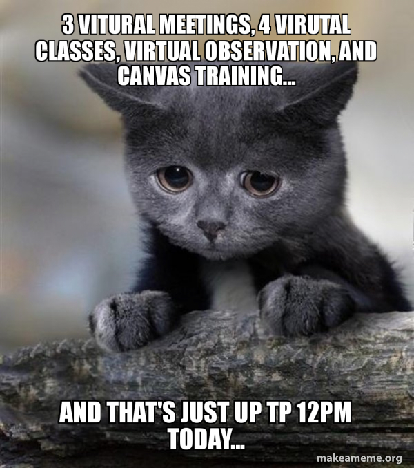 3 Vitural Meetings, 4 Virutal Classes, Virtual Observation, and Canvas ...