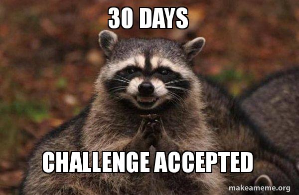 30 Days Challenge Accepted - Evil Plotting Raccoon Meme Generator