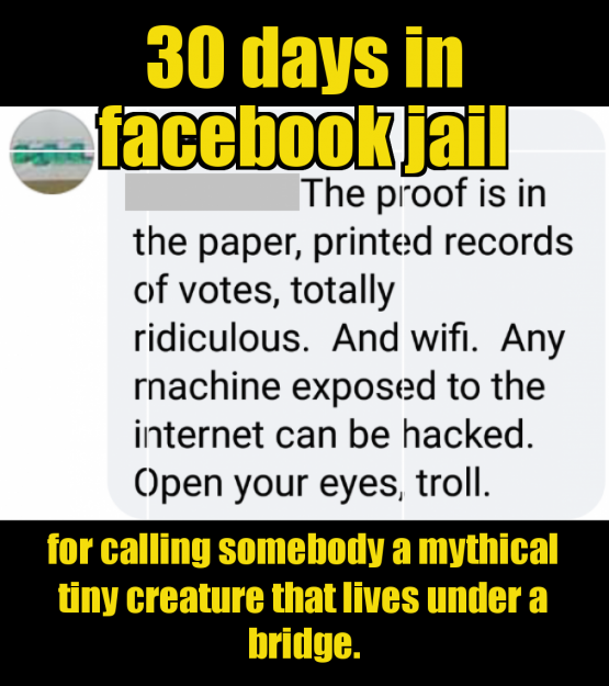 30 days in facebook jail for calling somebody a mythical tiny creature ...