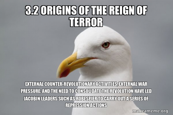 3.2 Origins of the Reign of Terror external counter-revolutionary ...