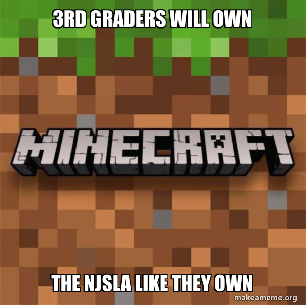 3RD GRADERS WILL OWN THE NJSLA LIKE THEY OWN - Minecraft Meme Generator