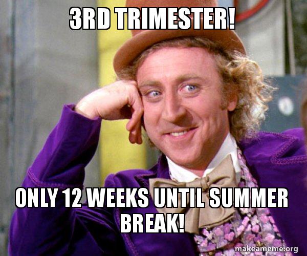 3rd Trimester! Only 12 Weeks Until Summer Break! - Willy Wonka Sarcasm ...