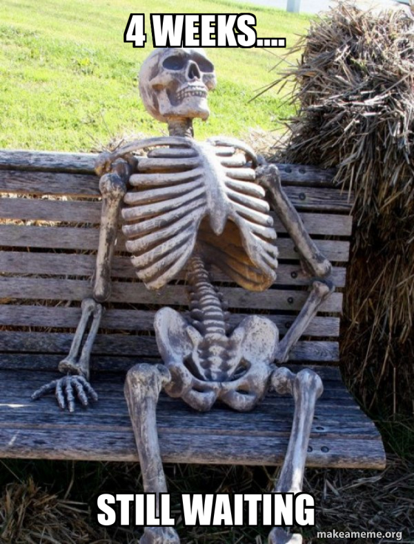 4 weeks.... still waiting - Waiting Skeleton Meme Generator