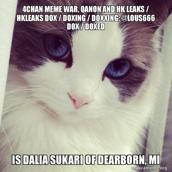 4chan Meme War, QAnon and HK Leaks / Hkleaks Dox / Doxing / Doxxing ...