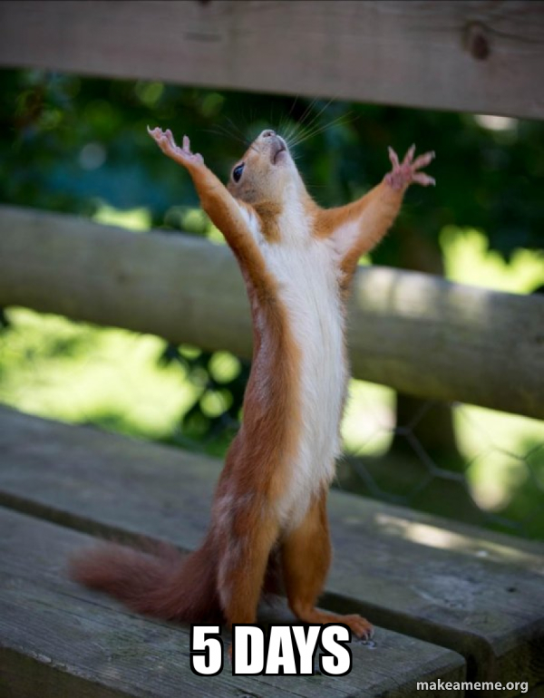 5 days - Happy Squirrel Meme Generator