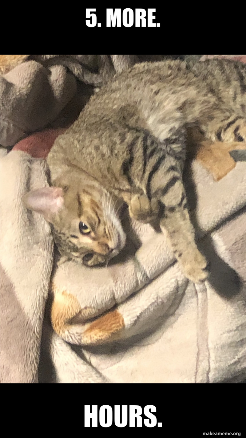 5. more. hours. Meme Generator