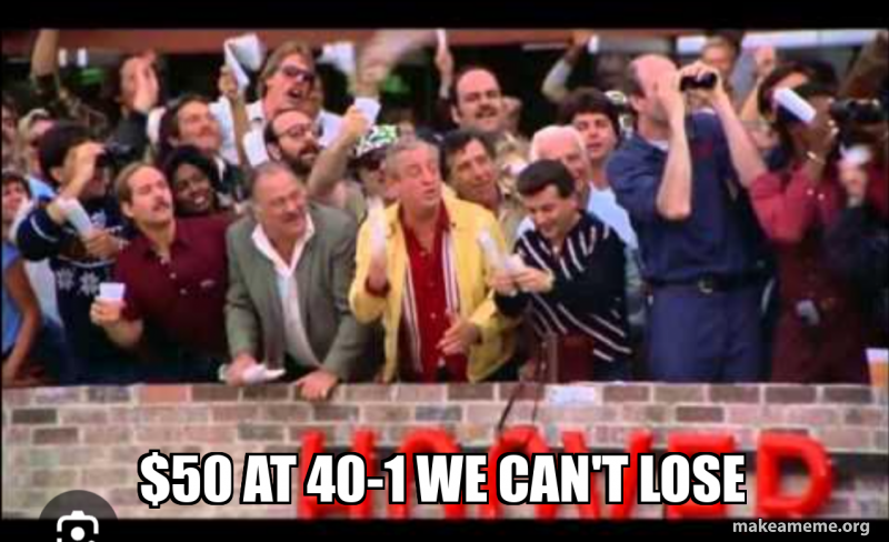 $50 at 40-1 we can't lose Meme Generator