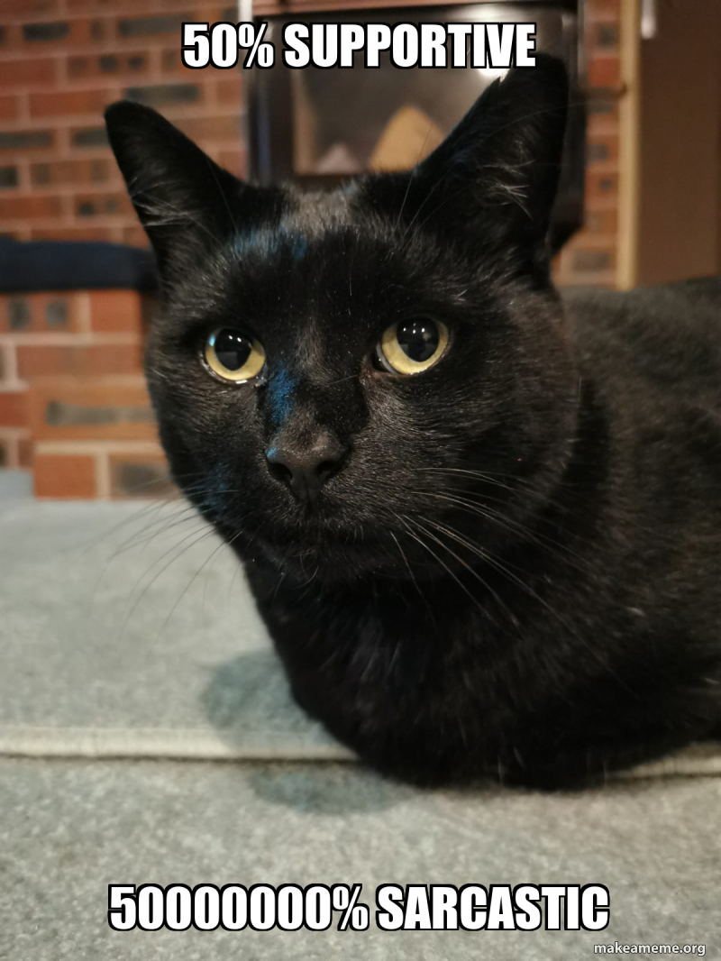 50% supportive 50000000% sarcastic Meme Generator