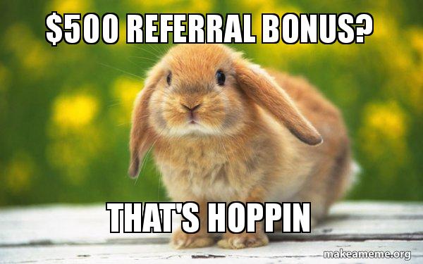$500 Referral Bonus? That's Hoppin - Regretful Rabbit Meme Generator