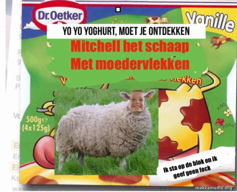 Paula de koe Meme Generator