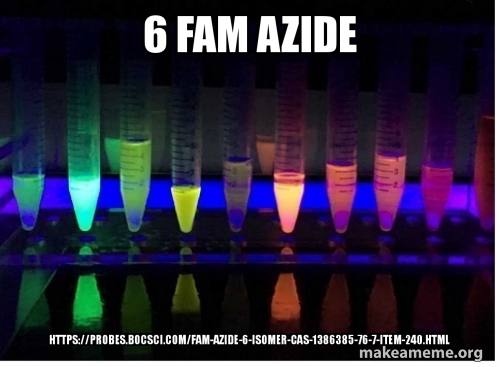 6 fam azide https://probes.bocsci.com/fam-azide-6-isomer-cas-1386385-76 ...