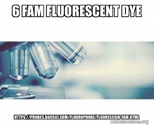 6 fam fluorescent dye https://probes.bocsci.com/fluorophore/fluorescein ...
