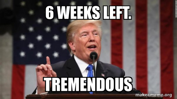 6 weeks left. tremendous - Donald Trump Meme Generator
