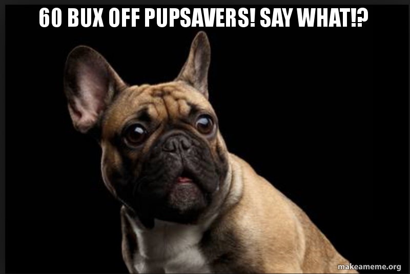 60 BUX OFF PUPSAVERS! SAY WHAT!? - FRENCHIE BF Meme Generator