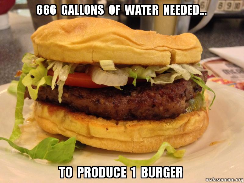 666 gallons of water needed... to produce 1 burger - cut the beef Meme ...