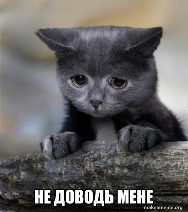 не доводь мене - Confession Cat Meme Generator