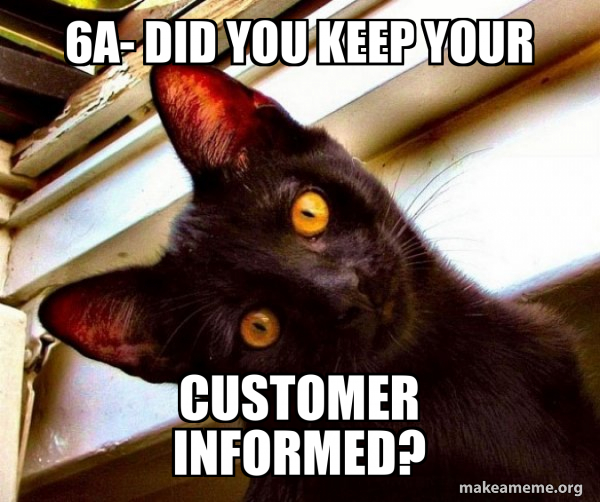 6A- DID YOU KEEP YOUR CUSTOMER INFORMED? - Overly Attached Cat Meme ...