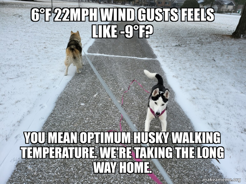 6°F 22MPH Wind Gusts FEELS LIKE -9°F? You mean optimum Husky Walking ...