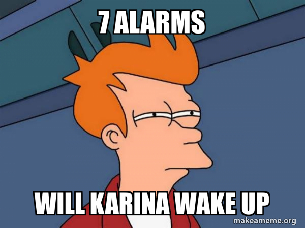 7 alarms Will karina wake up - Futurama Fry Meme Generator