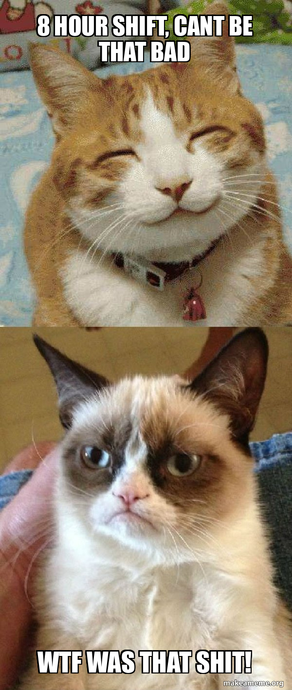 8 hour shift, cant be that bad WTF was that shit! - Grumpy Cat vs Happy ...