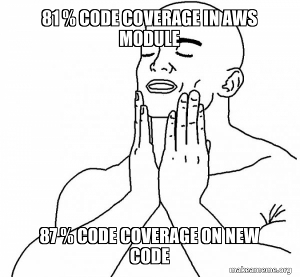 81 % code coverage in AWs module 87 % CODE COVERAGE ON NEW CODE - Feels ...