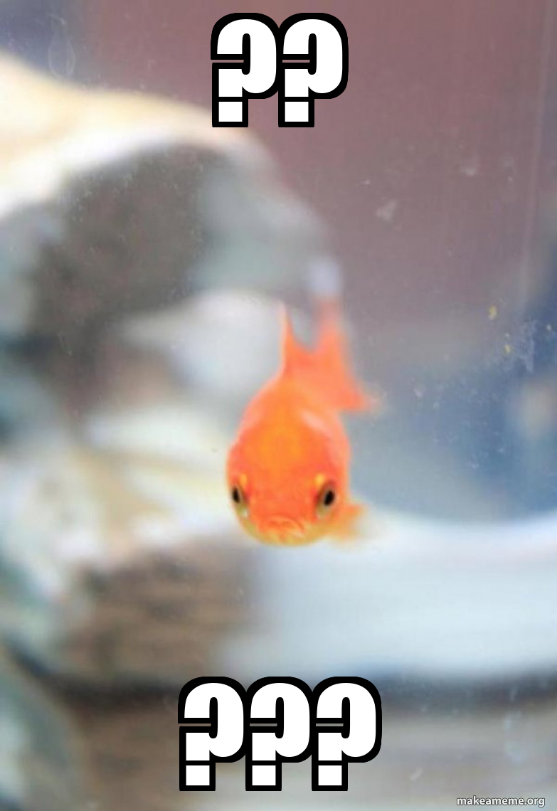Grumpy Fish Meme Generator