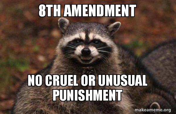 8TH AMENDMENT NO CRUEL OR UNUSUAL PUNISHMENT - Evil Plotting Raccoon ...