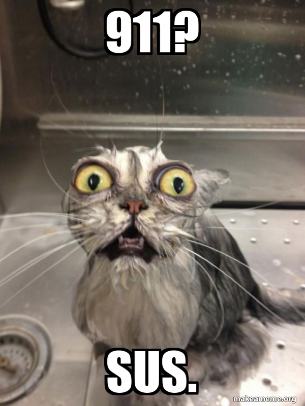 911? Sus. - Cat bath Meme Generator