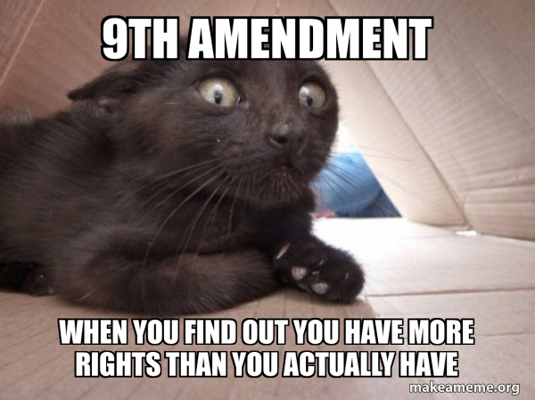 9th Amendment Memes