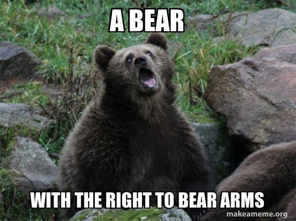 a bear with the right to bear arms - Sarcastic Bear Meme Generator
