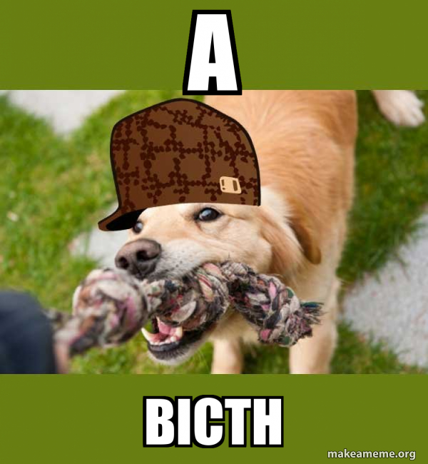 A bicth - Scumbag dog Meme Generator
