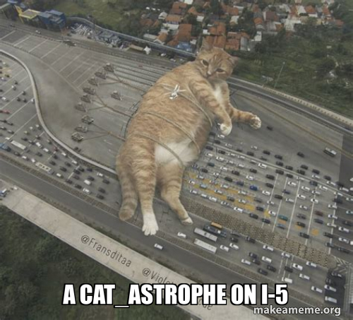 A cat_astrophe on i-5 Meme Generator