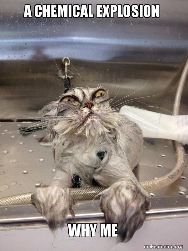 A chemical explosion Why me - Cat Bath Returns Meme Generator