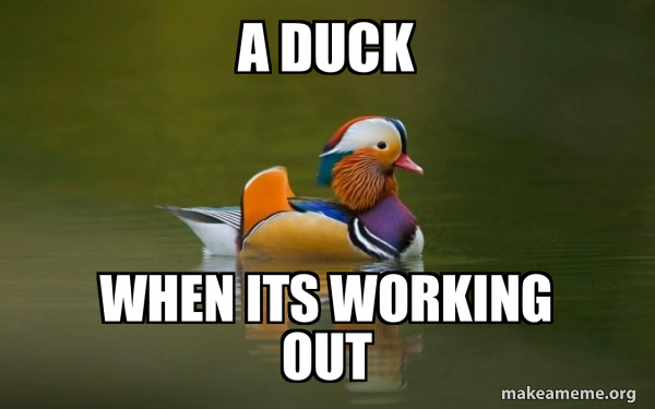 a duck when its working out - Fashionable Advice Mallard Meme Generator