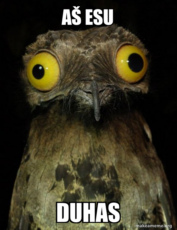 Aš Esu Duhas - Weird Stuff I do Potoo Meme Generator
