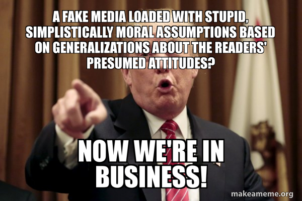 a fake media loaded with stupid, simplistically moral assumptions based ...