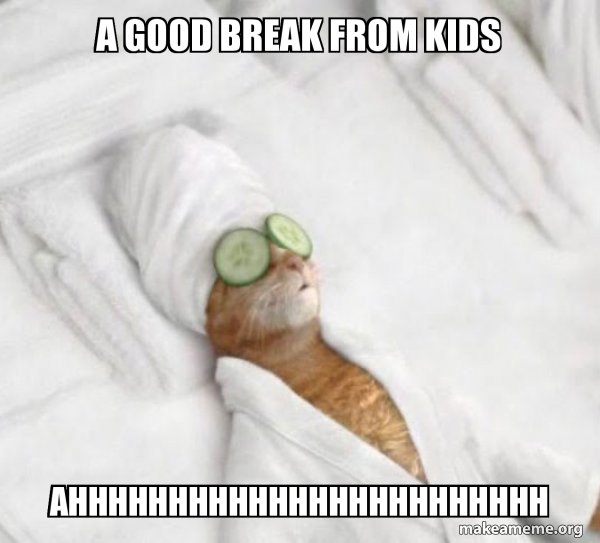 a good break from kids ahhhhhhhhhhhhhhhhhhhhhhhh - Pampered Cat Meme ...
