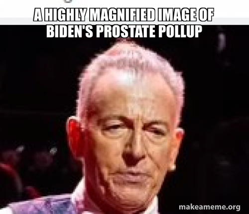 a HIGHLY MAGNIFIED image of biden's prostate pollup Meme Generator