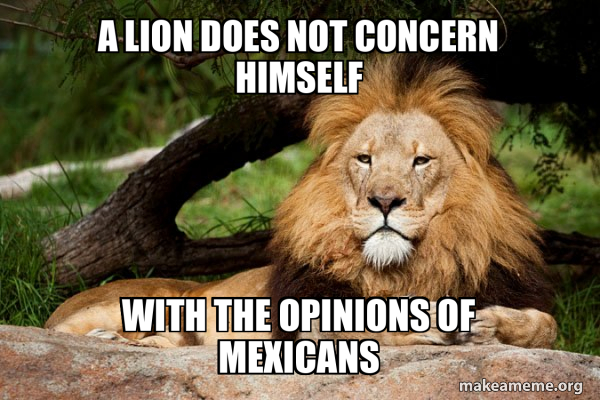 A lion does not concern himself With the opinions of mexicans ...