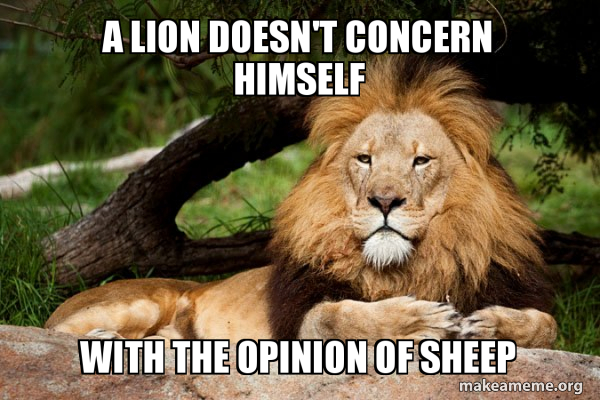 A lion doesn't concern himself with the opinion of sheep ...