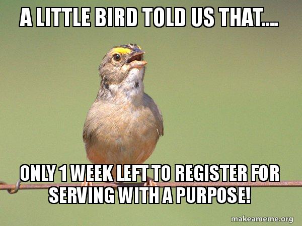 A little bird told us that.... Only 1 week left to register for Serving ...