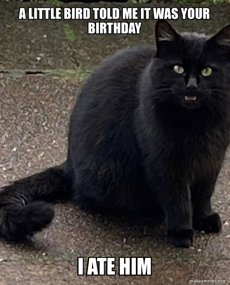 A little bird told me it was your birthday I ate him Meme Generator