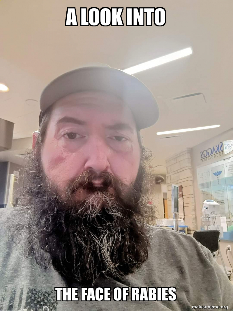 A look into The face of RABies Meme Generator
