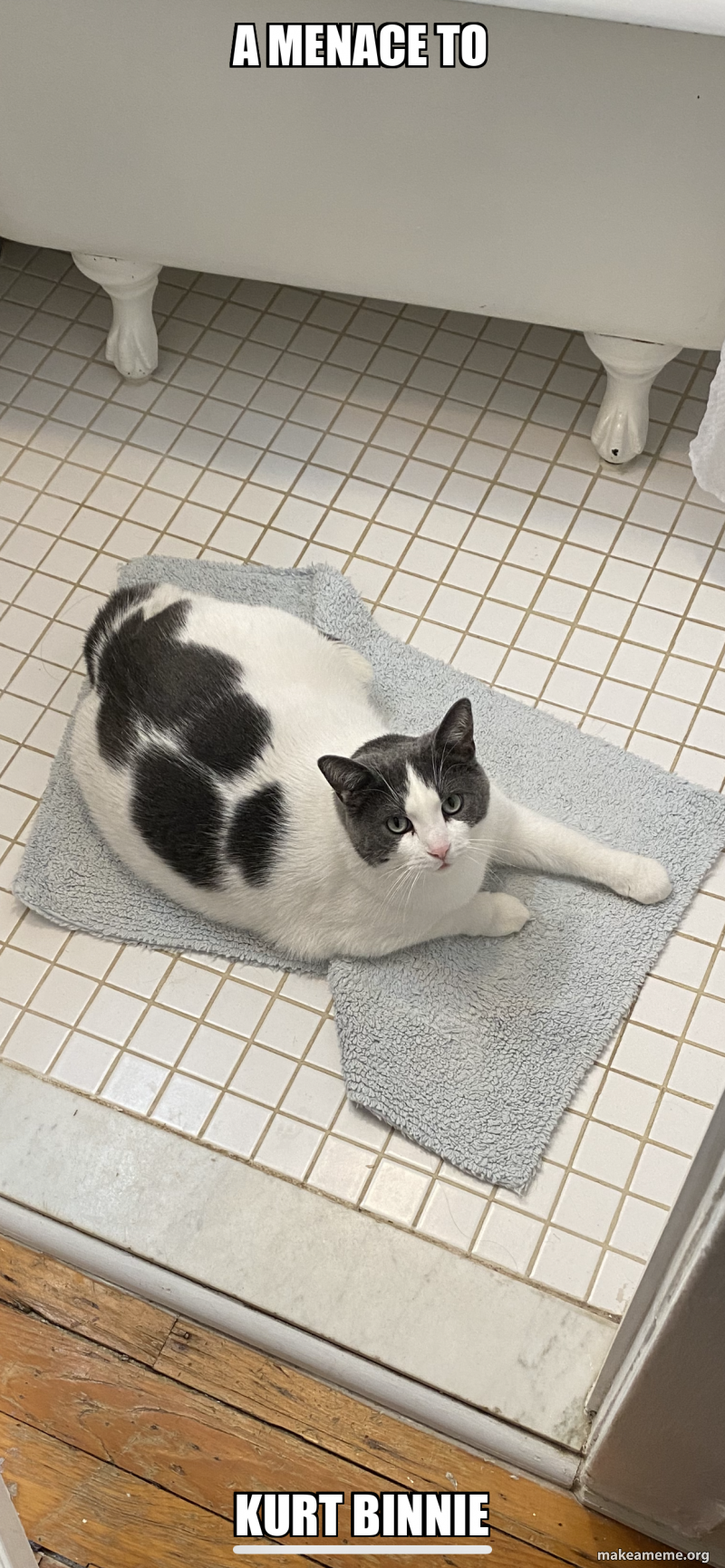 A menace to Kurt binnie Meme Generator