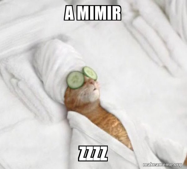 a mimir zZzZ - Pampered Cat Meme Meme Generator