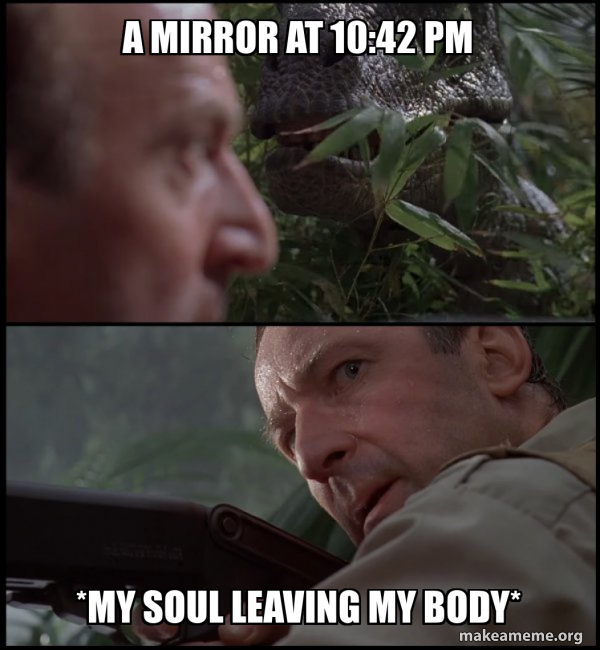 A Mirror at 10:42 PM *My soul leaving my body* - Clever Girl Meme Generator