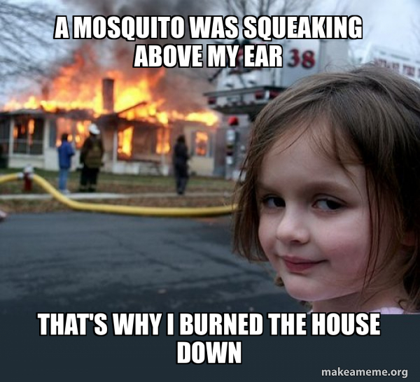 a mosquito was squeaking above my ear that's why i burned the house ...
