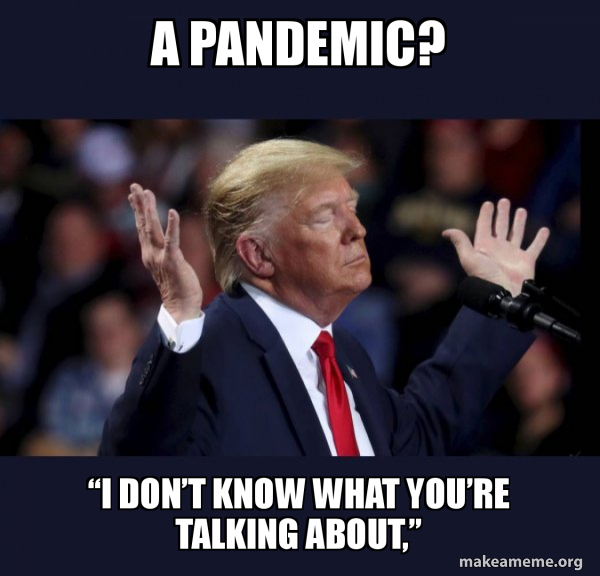 A pandemic? â€œI donâ€™t know what youâ€™re talking about,â€ - Trump ...