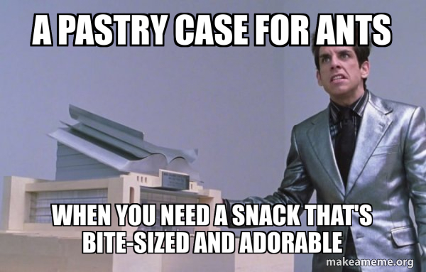 A pastry case for ants When you need a snack that's bite-sized and ...