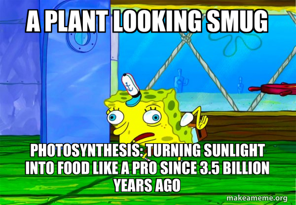 Spongebob Photosynthesis Memes Create A Spongebob Meme (Season 1) Tier